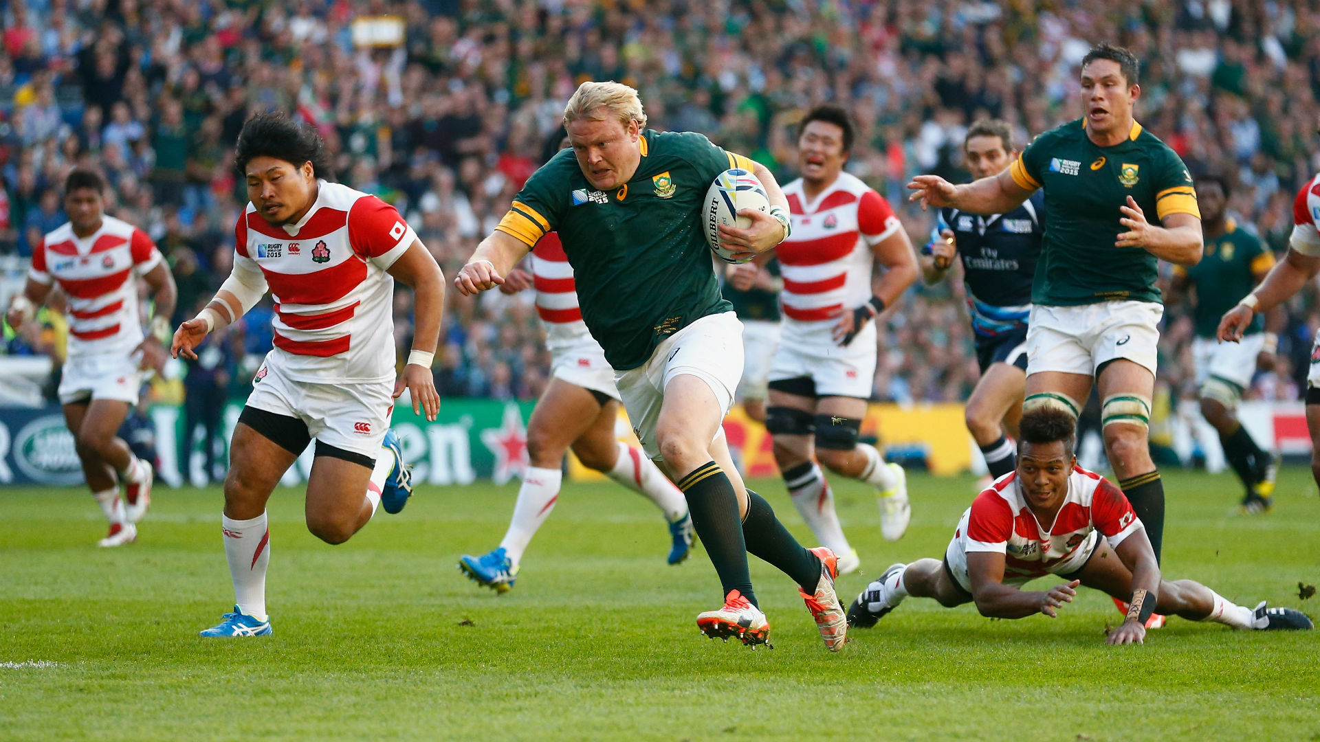 Strauss named Springboks captain | beIN SPORTS