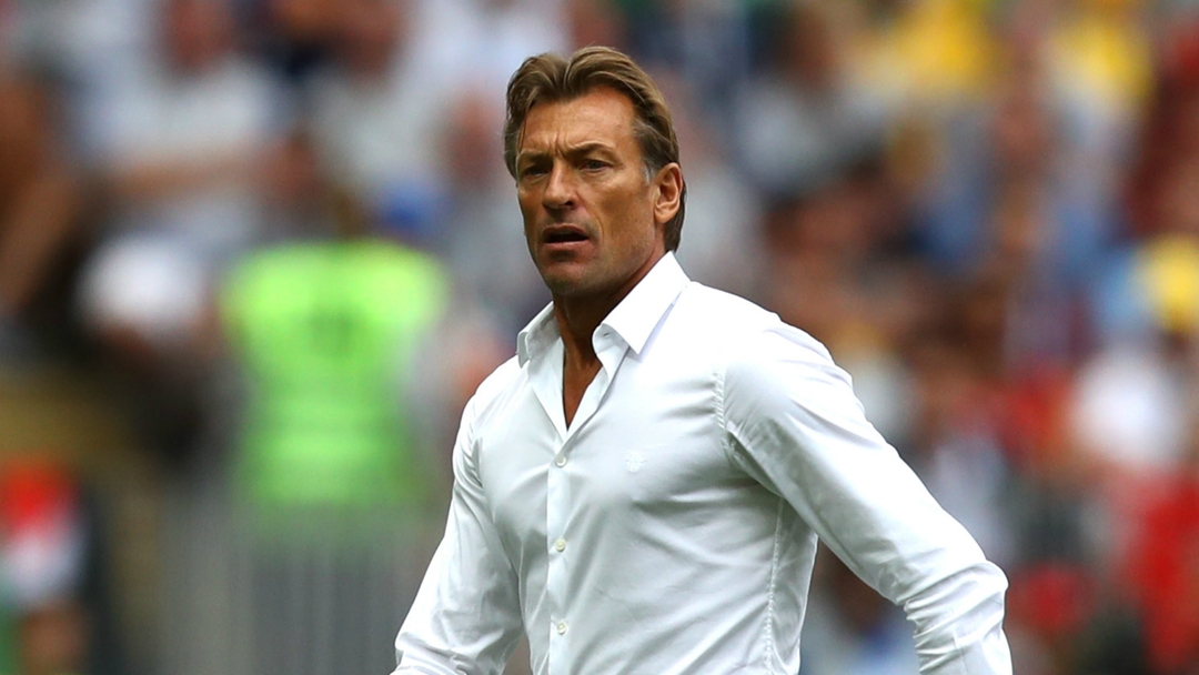 Renard arrival has France believing in World Cup dream, says Bacha ...