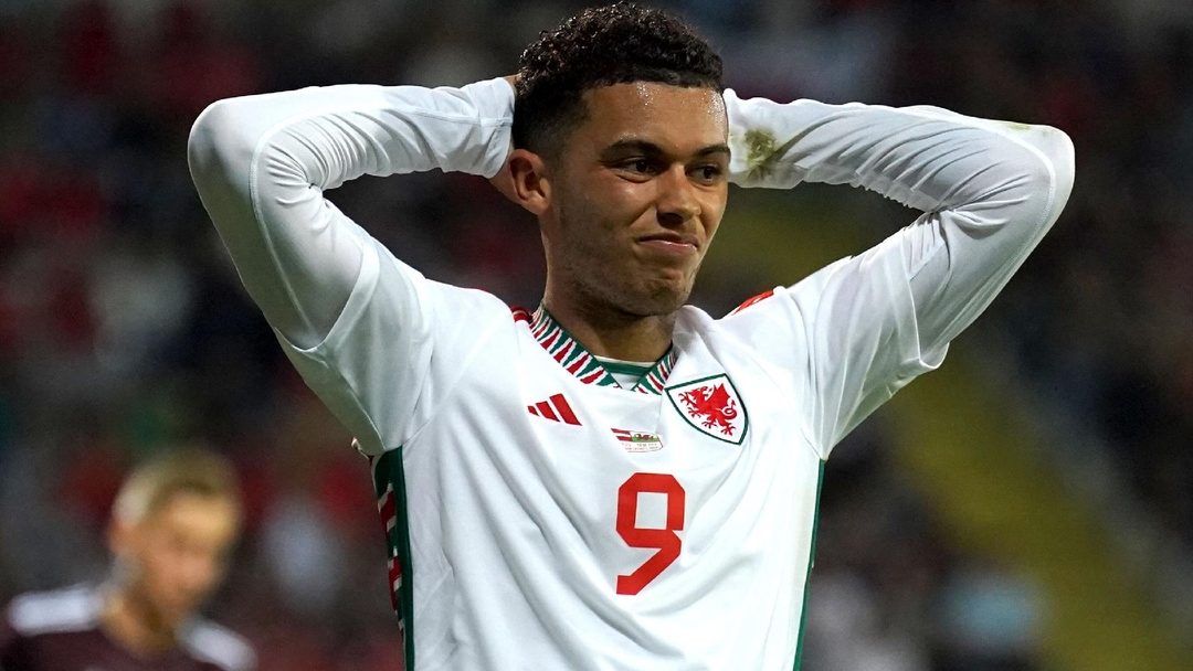 Brennan Johnson’s ‘safety and health’ a priority for Wales boss Rob ...