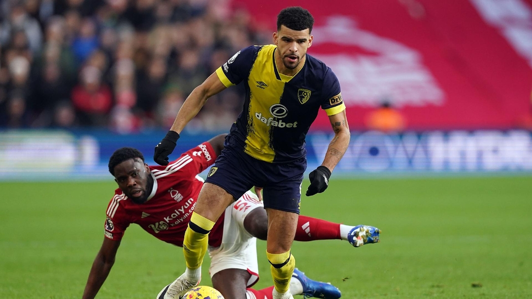 Football rumours: Dominic Solanke catching the eye of Tottenham | beIN ...