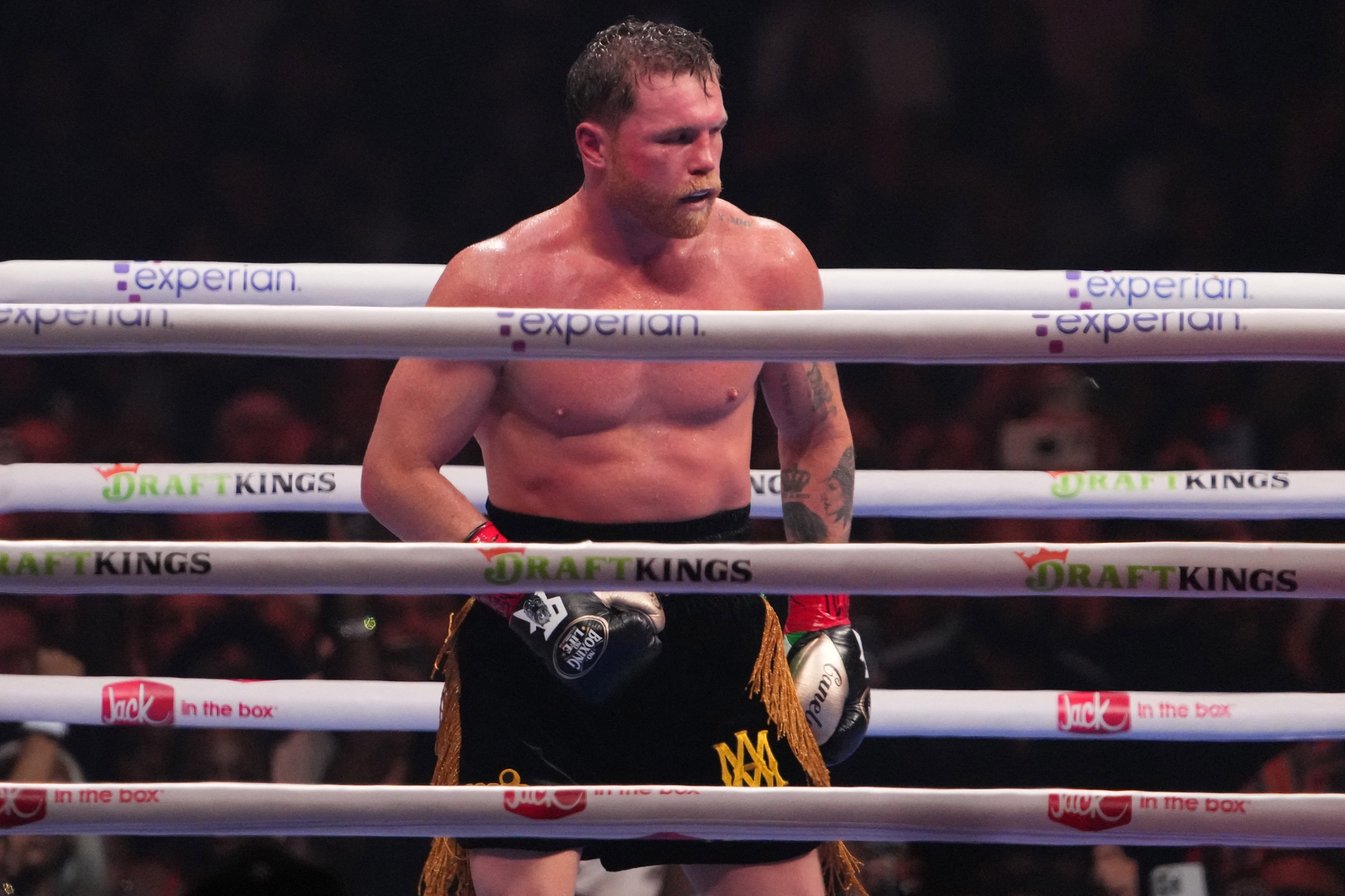 Saúl Canelo Álvarez vs. Terence Crawford: The Last Great Challenge in ...